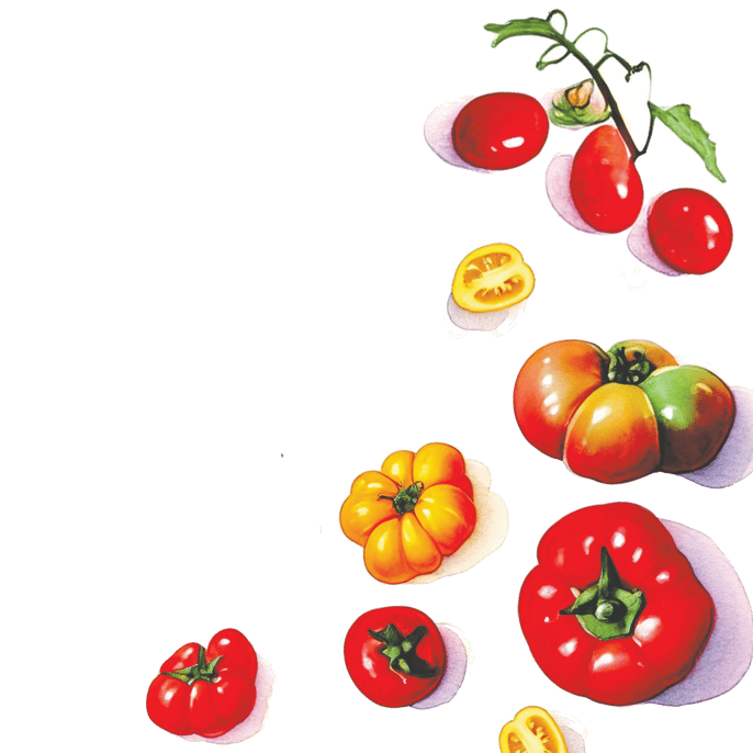 Revolutionize Your Health with Our Nutritious Food Box Programs