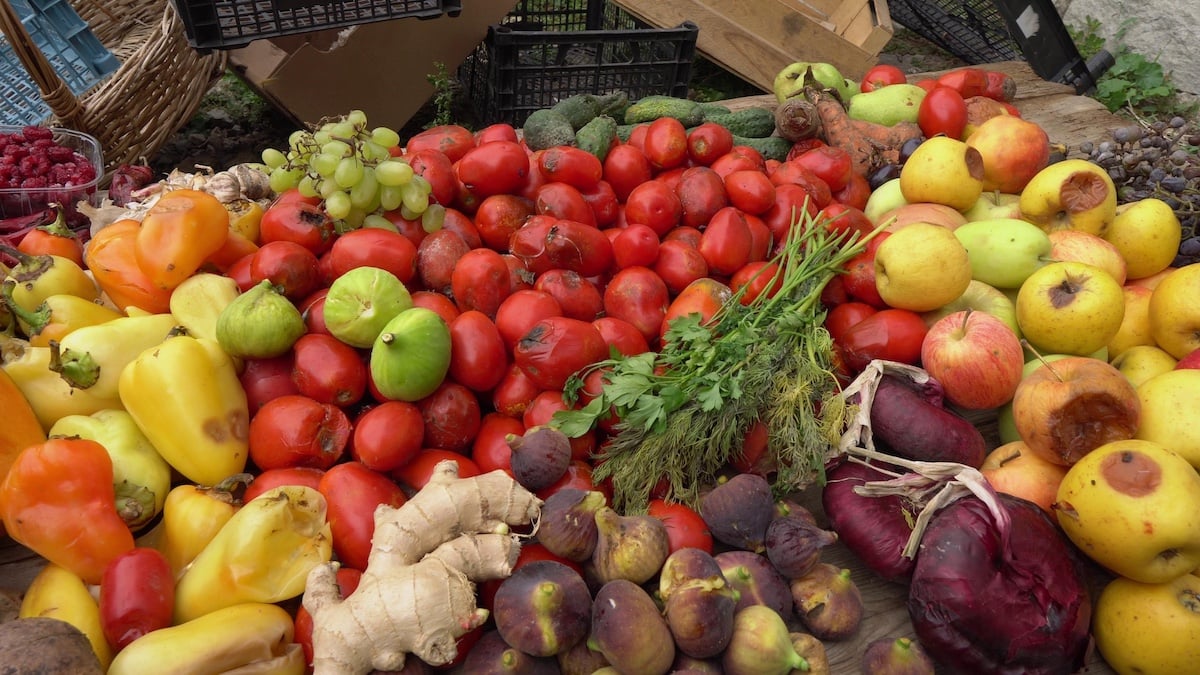 Fresh Produce Access | Fight Food Insecurity in Bronx County | Project ...